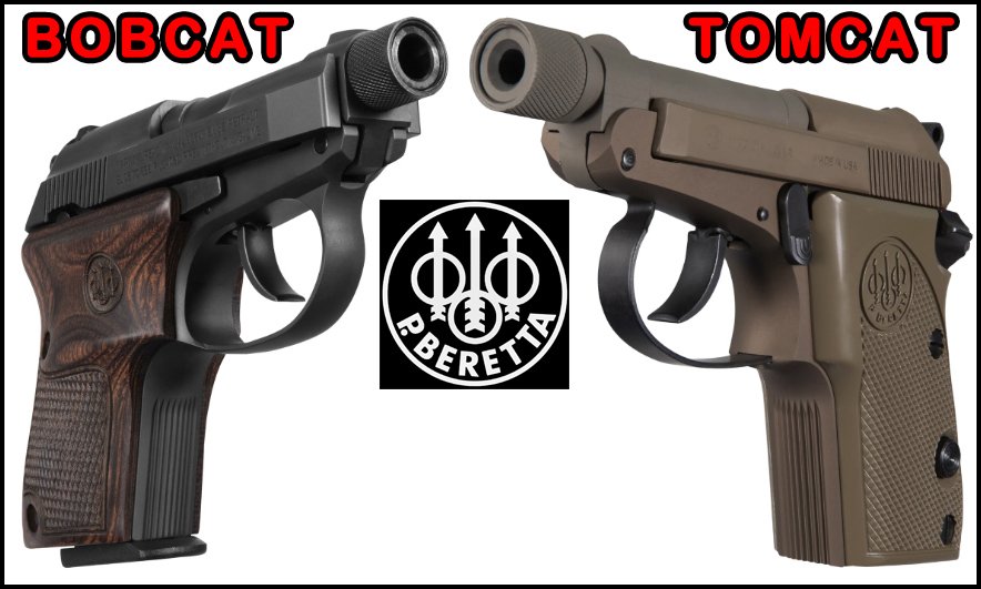 Compact Powerhouses: An In-Depth Review of the Beretta Tomcat and ...